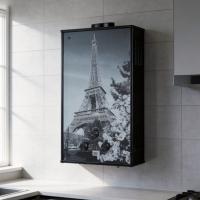 China Reliable Airtight 7 Liter On-Demand Flue Gas Water Heater Stable Hot Water Supply for sale