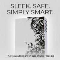 China Efficient 8 Liter Vented Flue Gas Water Heater Low Pressure Quick Start Operation for sale