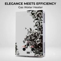China Efficient 8 Liter Vented Flue Gas Water Heater Low Pressure Quick Start Operation for sale