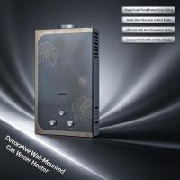 China Indoor Flue Gas Water Heater 12L Mechanical Control Instant Hot Water System for sale