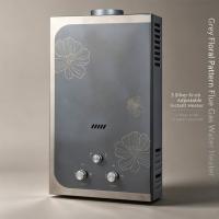 China Indoor Flue Gas Water Heater 12L Mechanical Control Instant Hot Water System for sale