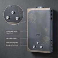 China Indoor Flue Gas Water Heater 12L Mechanical Control Instant Hot Water System for sale