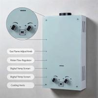 China Compact Household Tankless Gas Water Heater 8L 10L12L Copper Heat Exchanger for sale