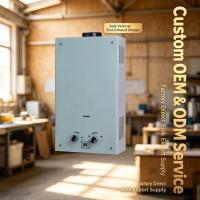 China Compact Household Tankless Gas Water Heater 8L 10L12L Copper Heat Exchanger for sale