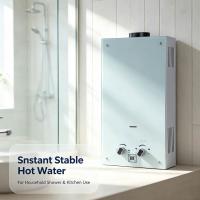China Compact Household Tankless Gas Water Heater 8L 10L12L Copper Heat Exchanger for sale