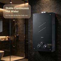 China CE Type 10 Liter On Demand Natural Gas LPG Water Heater Wall Hung Family Use for sale