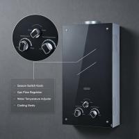 China CE Type 10 Liter On Demand Natural Gas LPG Water Heater Wall Hung Family Use for sale