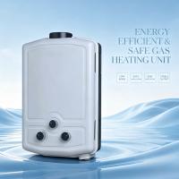 China Clear Display 10 Liter Stable Flue Gas Water Heater Rural Performance Application for sale
