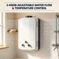 China Clear Display 10 Liter Stable Flue Gas Water Heater Rural Performance Application for sale