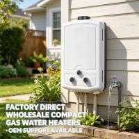 China Clear Display 10 Liter Stable Flue Gas Water Heater Rural Performance Application for sale