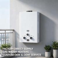 China Wind Resistant 14 Liter Propane LPG Instant Geyser Gas Water Heater Exhaust Style for sale