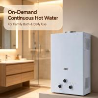 China Residential 12 Liter Instant Flue Gas Water Heater Energy Saving Compact Unit for sale