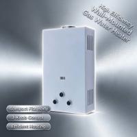 China Residential 12 Liter Instant Flue Gas Water Heater Energy Saving Compact Unit for sale
