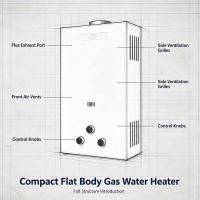 China Residential 12 Liter Instant Flue Gas Water Heater Energy Saving Compact Unit for sale