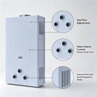 China Residential 12 Liter Instant Flue Gas Water Heater Energy Saving Compact Unit for sale