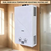China Optimized 16 Liter Modern Flue Gas Water Heater Airtight Fire Power Ignition for sale