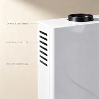 China Optimized 16 Liter Modern Flue Gas Water Heater Airtight Fire Power Ignition for sale