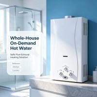 China Wall Mounted Flue Gas Water Heater 7L 8L 10L LCD Display Low Pressure Start for sale