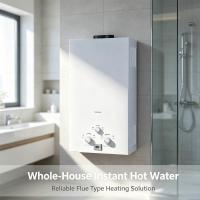China Large Capacity Tankless Gas Water Heater 16L - 24L LCD Display For Whole House for sale