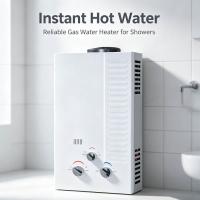 China Efficient 8 Liter Tankless Flue Gas Water Heater LPG Natural Multi-Fuel Operation for sale