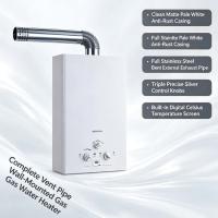 China Propane LPG Tankless Gas Water Heater Instant Boiler Water Heater 12L 14L 16L 20L 24L for sale