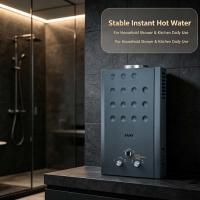 China Natural Gas Propane Water Heater 20L Instant Water Heater For Commercial / Residential for sale