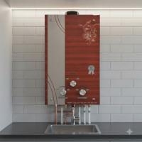 China Reliable 6 Liter Propane Inline Gas Hot Water Heater Fashion Appearance Design for sale