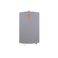 China Precise Water Temperature Energy Efficient Gas Hot Water Heater Natural Gas Water Heater Quiet Operation for sale