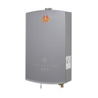 China Precise Water Temperature Energy Efficient Gas Hot Water Heater Natural Gas Water Heater Quiet Operation for sale