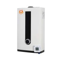 China Smart Constant Temperature LPG Gas Water Heater 20L Instant Gas Hot Water Heater for sale