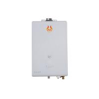 China 13L Forced Exhaust Gas Water Heater On Demand Custom Standard Noise Reducing for sale