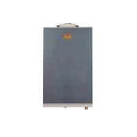 China Smart Tankless Gas Water Heater 10L 12L 14L 16L With Forced Exhaust / Touch Control Panel for sale