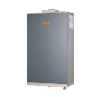 China Smart Tankless Gas Water Heater 10L 12L 14L 16L With Forced Exhaust / Touch Control Panel for sale