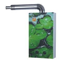 China Tempered Glass Panel 12 Liter Gas Water Heater Flue Type Elegant Home Format for sale