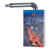 China Tempered Glass Panel 12 Liter Gas Water Heater Flue Type Elegant Home Format for sale
