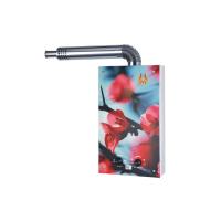 China Tempered Glass Panel 12 Liter Gas Water Heater Flue Type Elegant Home Format for sale