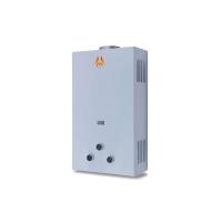 China Residential 12 Liter Instant Flue Gas Water Heater Energy Saving Compact Unit for sale