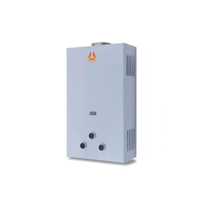 China Residential 12 Liter Instant Flue Gas Water Heater Energy Saving Compact Unit for sale