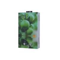 China Flame Failure Protection 16 Liter LPG Instant Tankless Water Heater Domestic Use for sale