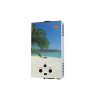 China Low Gas Usage 20 Liter Gas Leakage Proof Gas Instant Hot Water System Battery Operated for sale