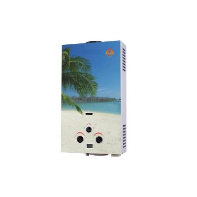 China Low Gas Usage 20 Liter Gas Leakage Proof Gas Instant Hot Water System Battery Operated for sale