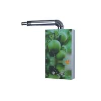 China Household Flue Gas Water Heater 14L Copper Heat Exchanger Compact Unit for sale