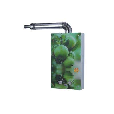 China Household Flue Gas Water Heater 14L Copper Heat Exchanger Compact Unit for sale