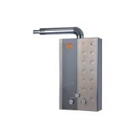China Indoor 10 Liter Flue Type Instant Gas Water Heater Multi Safety Protection System for sale