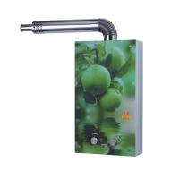 China Indoor Digital Instant Tankless Gas Water Heater For Whole House for sale