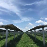 China Ground Solar Mounting Brackets engineered for installation and long lasting performance in ground based solar energy applications for sale