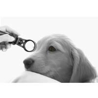 China GD9103 Veterinary Ophthalmic Slit Lamp 5X Magnification 0.2mm Minimum Slit Width Portable LED for sale