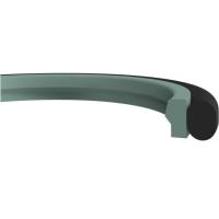 China KL10 Single Acting Rod Seal PTFE Low Friction 3mm to 570mm for Wind Turbines Servo Cylinders for sale