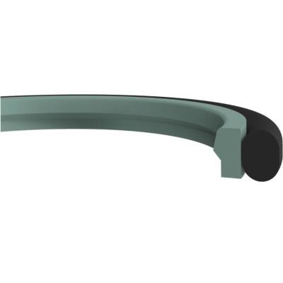 China KL10 Single Acting Rod Seal PTFE Low Friction 3mm to 570mm for Wind Turbines Servo Cylinders for sale