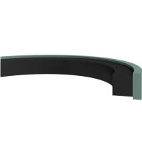 China Kelong Hydraulic Piston Seals PTFE / NBR Material for mobile machinery for sale